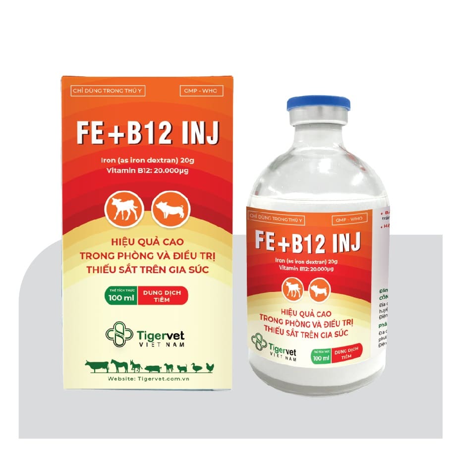 FE + B12 INJ - Tigervet – UKA Pharma